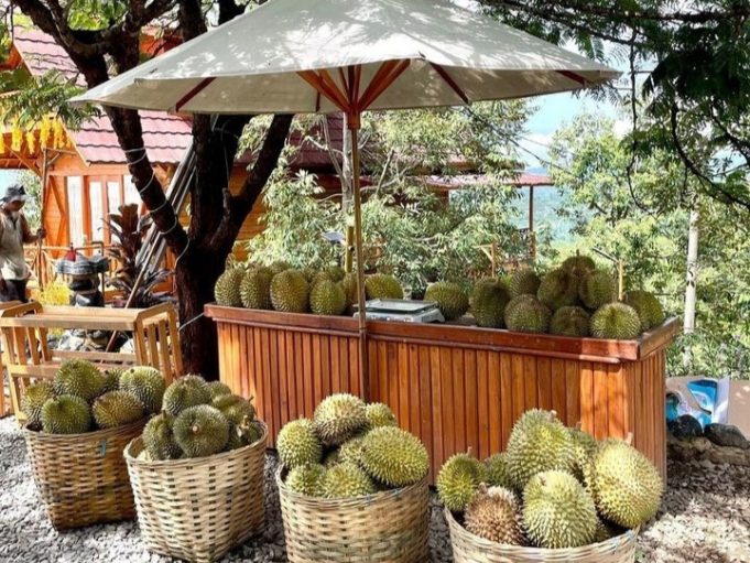 Bukit Durian Sagara, Agro Wisata dengan Pesona Alam Memukau ...