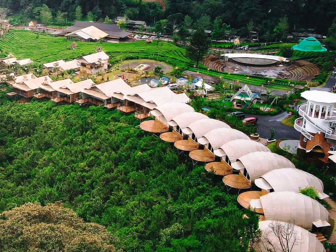 Asstro Highland Ciater: Kesejukan Glamping di Hamparan Perkebunan Teh ...